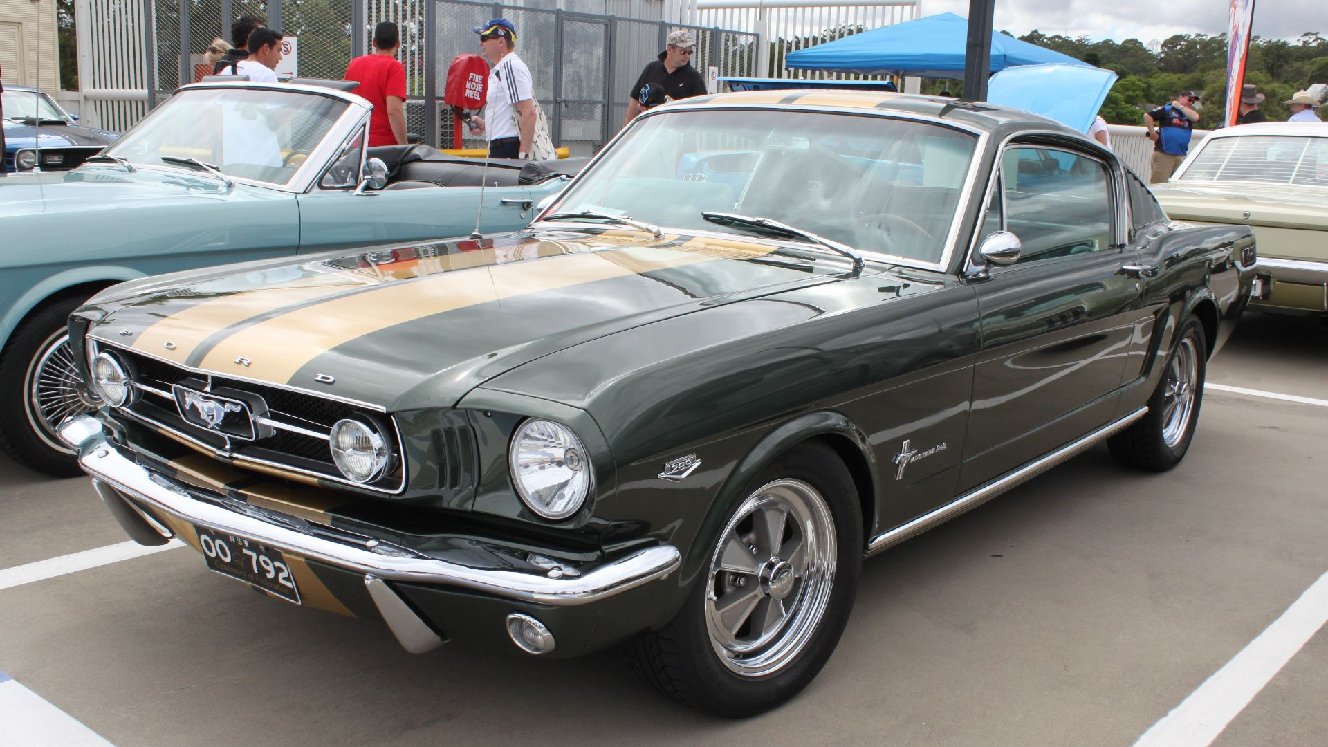 The 20 Rarest Mustangs You May Never See With Your Own Eyes - MotorSearches
